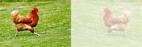 How To Use An Image In A Chart Background In R Data Cornering
