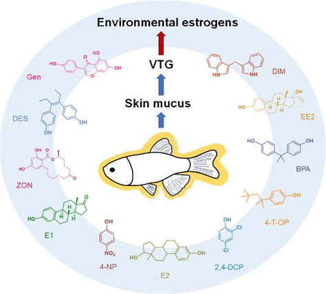 Fish Skin Mucus Vitellogenin As A Noninvasive Sensitive Biomarker For
