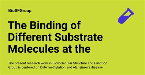 The Binding Of Different Substrate Molecules At The Docking Site And