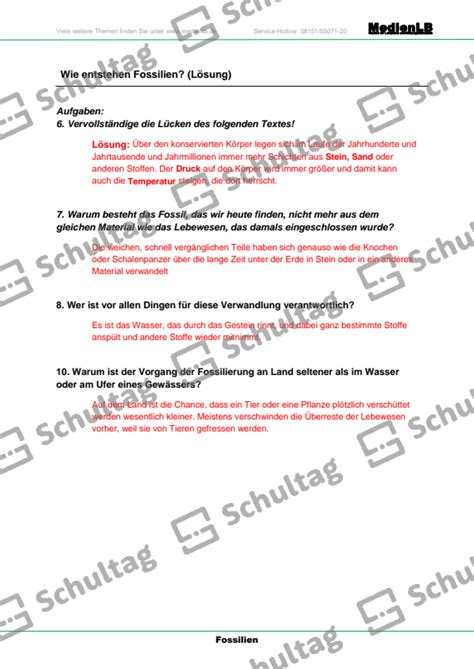 Wie Entstehen Fossilien Schultag