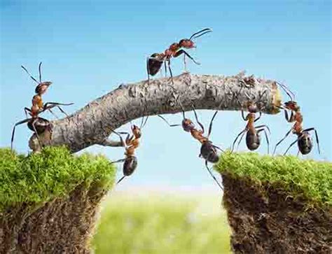 Regulatory Genomics Lab