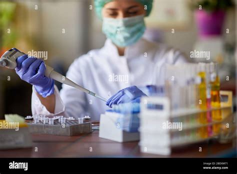 Female In Lab Using Pipette For Blood Analysis Stock Photo Alamy
