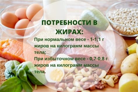 Суточная норма жира - Похудение с расчётом - Calorizator.ru