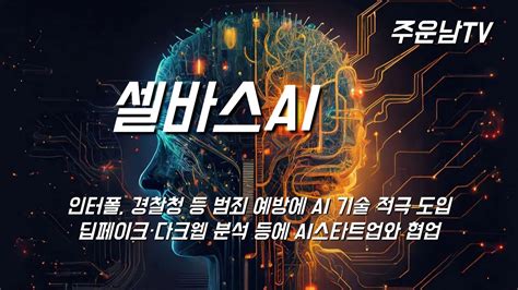 셀바스ai 주가 추세 분석 반등 도달 실패와 깊어진 조정 상승전환은 언제 시작되나 Youtube