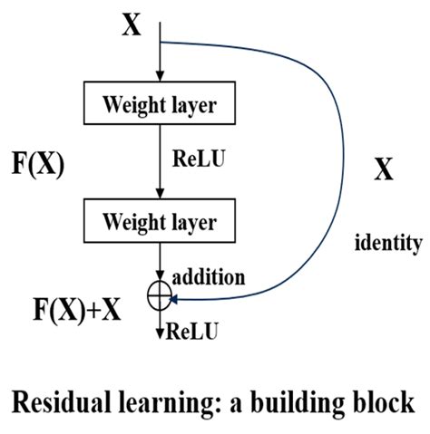 Research On The Strawberry Recognition Algorithm Based On Deep Learning
