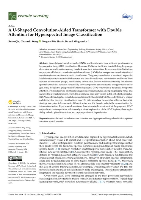 pdf a u shaped convolution aided transformer with double attention