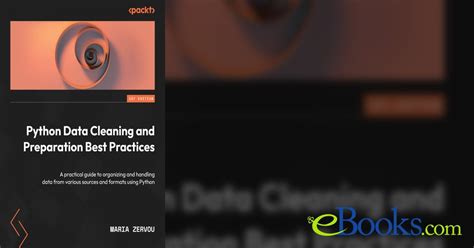 python data cleaning and preparation best practices