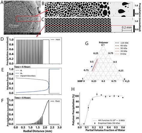 Model Development Of Polymer Solidification A Sem Image Of A Download Scientific Diagram