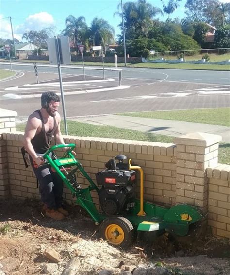 Stump Grinding Brisbane Moreton Bay Arborist Tree Techs