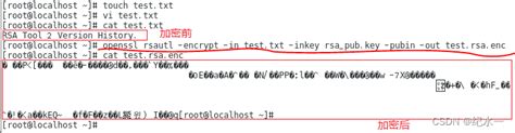 黑客学习 密码学：基于openssl的算法加密和解密已知私钥和密文openssl的rsa解密 Csdn博客