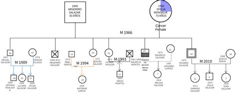Genograma FSALAZAR Vpd Visual Paradigm User Contributed Diagrams