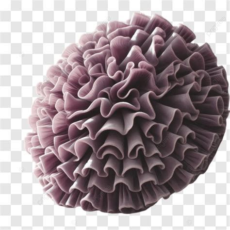 투명한 배경을 가진 선명한 선명도의 3d 조개 투명한 배경을 가진 수정처럼 선명한 조개 투명한 배경을 가진 선명한 선명도의 3d 조개 보석 Png 일러스트 및 이미지