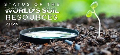 Towards The 2025 Worlds Soil Resources Status Report Global Soil
