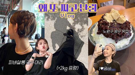 Sub Vlog 다시 시작된 다이어트와 일상 브이로그 다이어트 식단 피버살롱 공주 머리 줌바댄스 시작 노원구 빙수 맛집 쿠키 Youtube