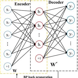 Schematic Diagram Of The Structure Of The Two Models Download Scientific Diagram