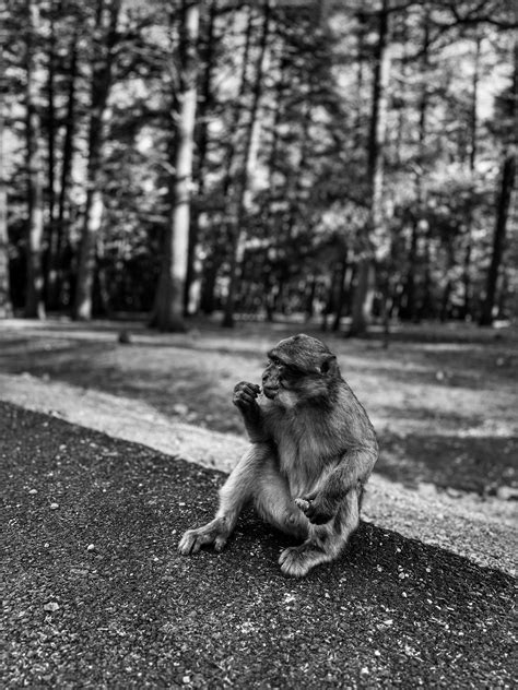 Osman Yildiz Photography