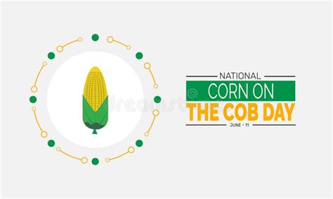 National Corn On The Cob Day June 11 Stock Vector Illustration Of