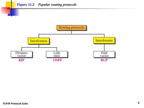Unicast Routing Protocols Ripospfbgpppt Computer Networking Computing