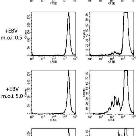 Analysis Of Cell Cycle Entry By CFSE Labelling Primary B Cells Were Download Scientific