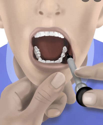 EMT Pharmacology Flashcards Quizlet EMT Pharmacology Flashcards Quizlet