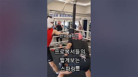 프로복싱한국챔피언 권오곤 Vs 신종훈 제자 방대권 Youtube