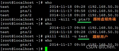 linux系统下强制用户下线——who，pkill pkill kill t csdn博客