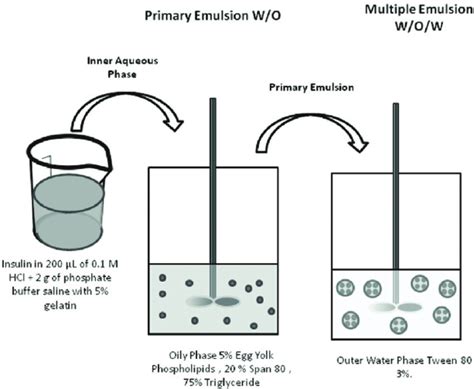 Preparation Of W O W Insulin Multiple Emulsions Containing Lipoidal Download Scientific Diagram