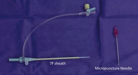 Chapter 24 Resuscitative Endovascular Balloon Occlusion Of The Aorta