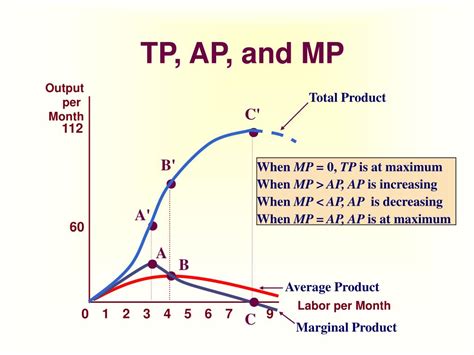 ppt principles of economics powerpoint presentation free download