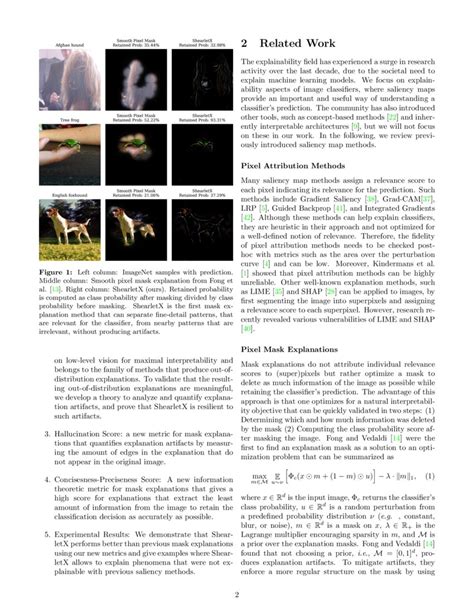 explaining image classifiers with multiscale directional image