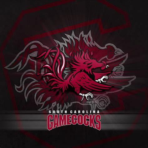 South Carolina Gamecocks Logo Wallpaper Download Show Your Pride With