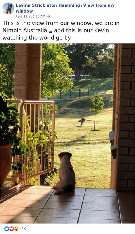 Whats Outside Your Window 40 Pics