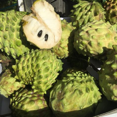 Atemoya Buy Atemoya Online From Miami Fruit