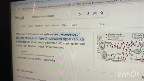 Tissue Scaffolding And Molecular Communication What Do You Know About It