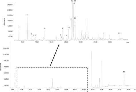 Gc Ms Chromatogram Of Dichloromethane Extract Of C Nervosum Seed