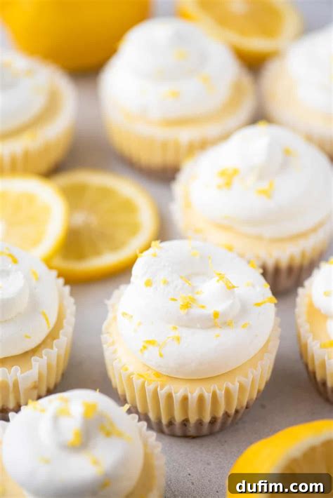 Zesty Lemon Cheesecake Bites Dufim
