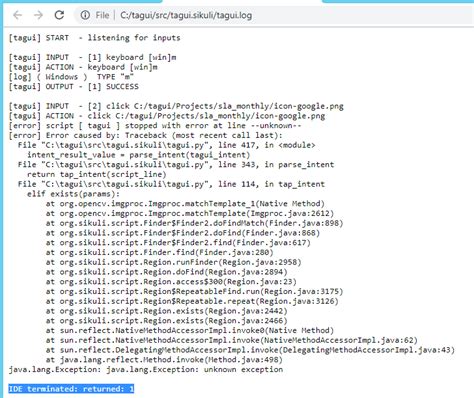 Visual Automation Image Is Not Recognized Issue Running On Server