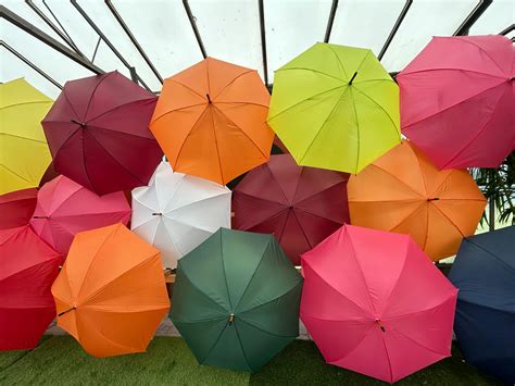 Indianbigass Photos Download The Best Free Indianbigass Stock