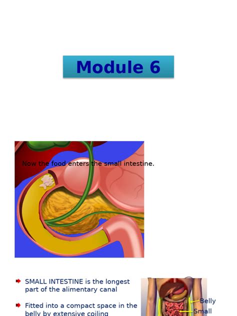 module 6 pdf