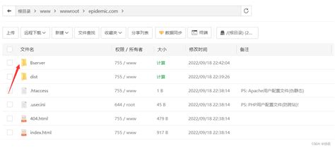 如何在宝塔打包上传vue项目宝塔 上传vue Dist 新建站点 Csdn博客