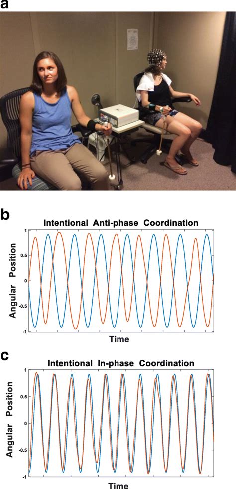 A Pendulum Coordination Protocol Used To Acquire Behavioral And Eeg