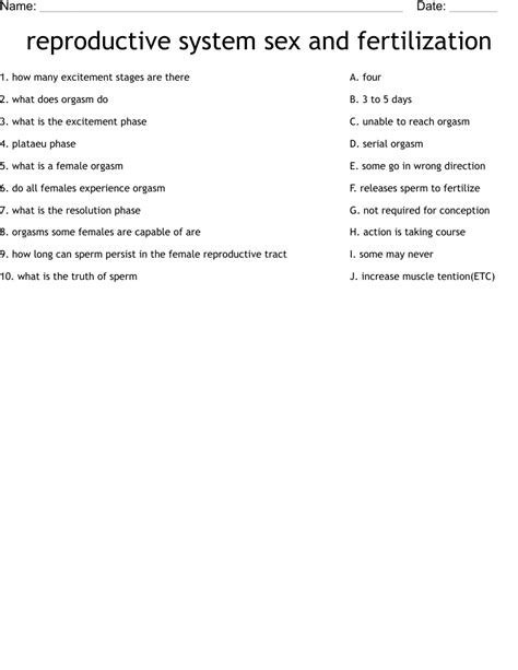 Reproductive System Sex And Fertilization Worksheet Wordmint