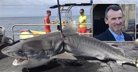 Vladimir Popov Shark Attack A Tragic Moment That Shook The World And