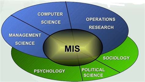 Complementary Assets Organizational Capital And The Right Business Model Bench Partner