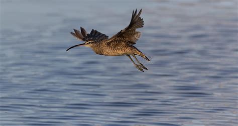 Foot Drying 101 Photograph By Alice Schlesier Fine Art America