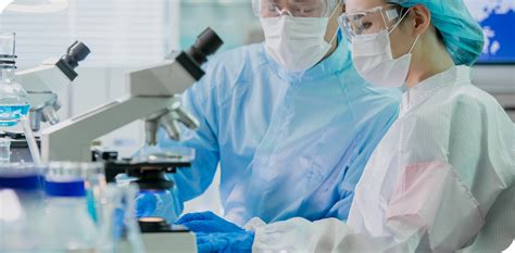 Carcinogenicity Test Korea Institute Of Toxicology