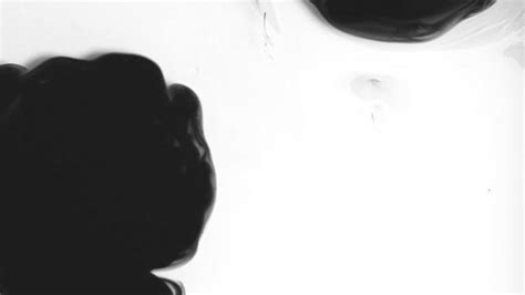 Ink Drop Stock Video Footage For Free Download