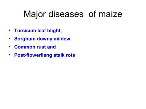 Integrated Disease Management Maize Diseases Ppt