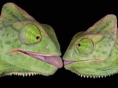 How To Have Better Sex Johanna Lyman YourTango