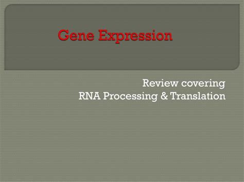 PPT Gene Expression PowerPoint Presentation Free Download ID